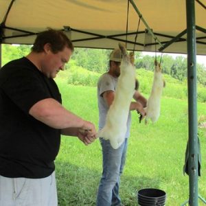 Meat Rabbit Processing Course - Homestead Rabbits Academy