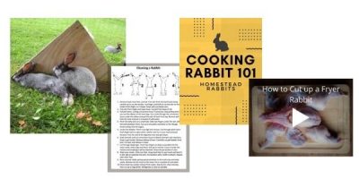 Meat Rabbit Processing Course - Homestead Rabbits Academy